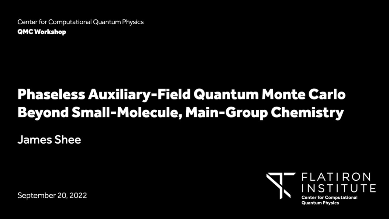 James Shee Phaseless Auxiliary Field Quantum Monte Carlo Beyond Small