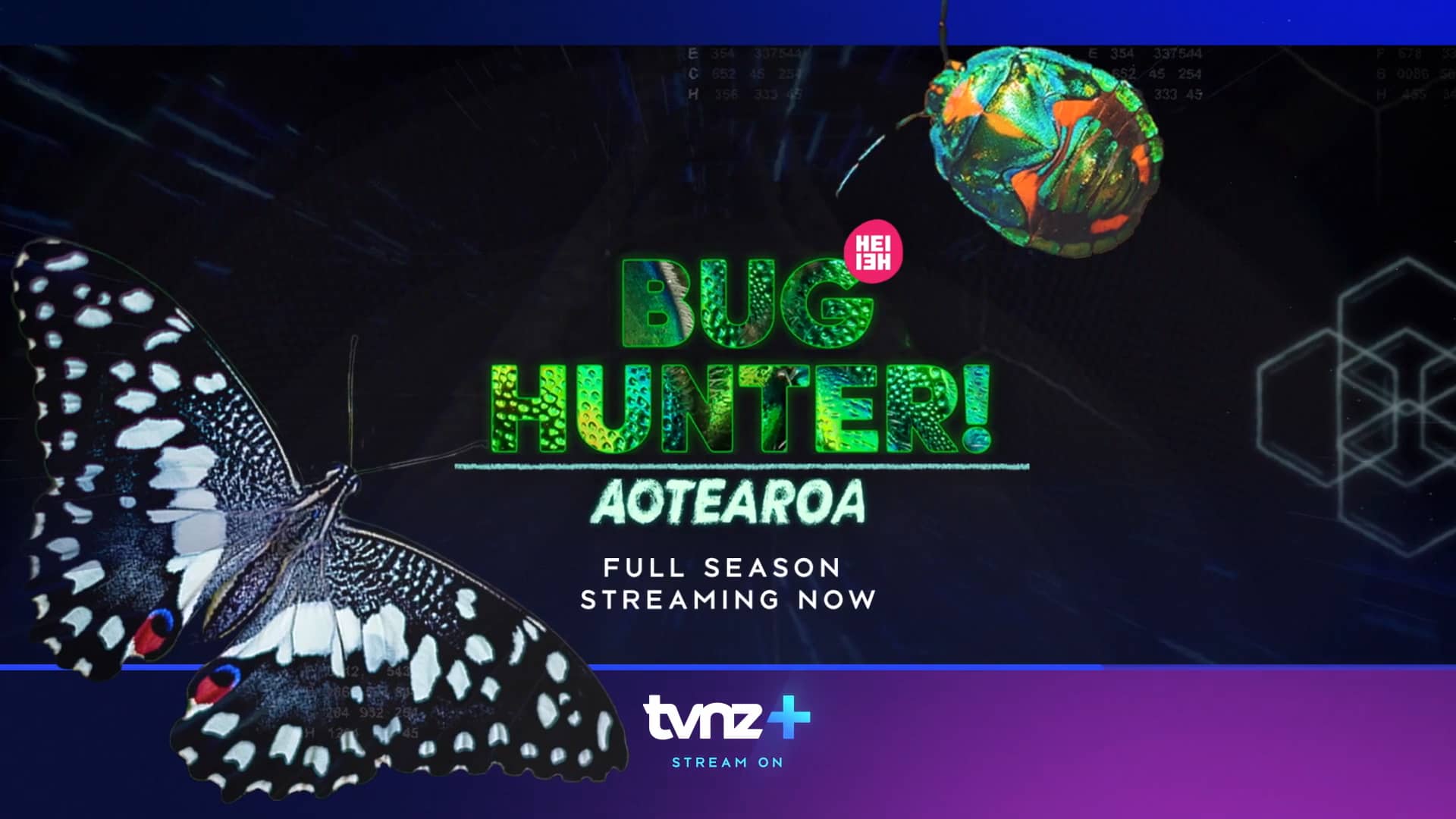 Bug Hunter! Aotearoa - 30sec trailer on Vimeo