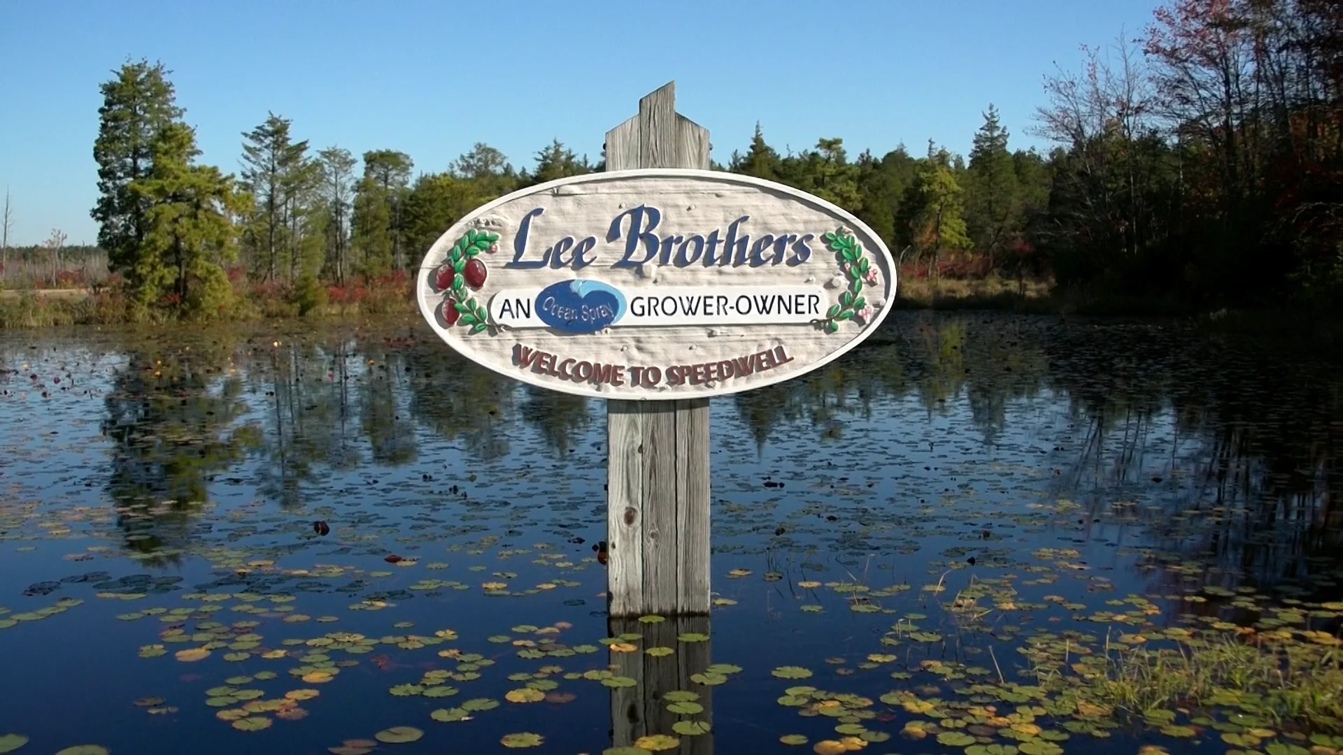 Lee Brothers Incorporated Cranberry Farm on Vimeo