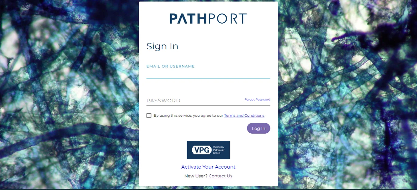 Pathport on Vimeo