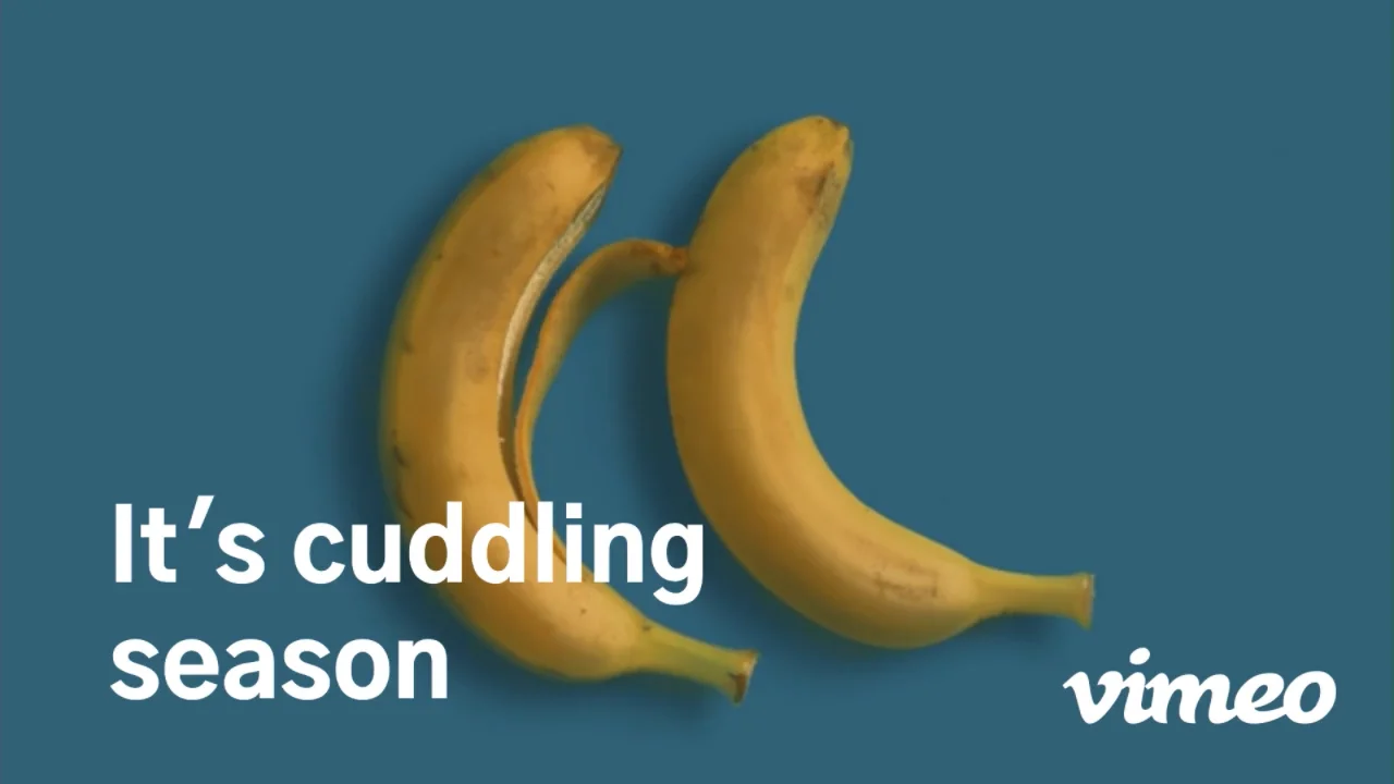 Cuddling Season on Vimeo