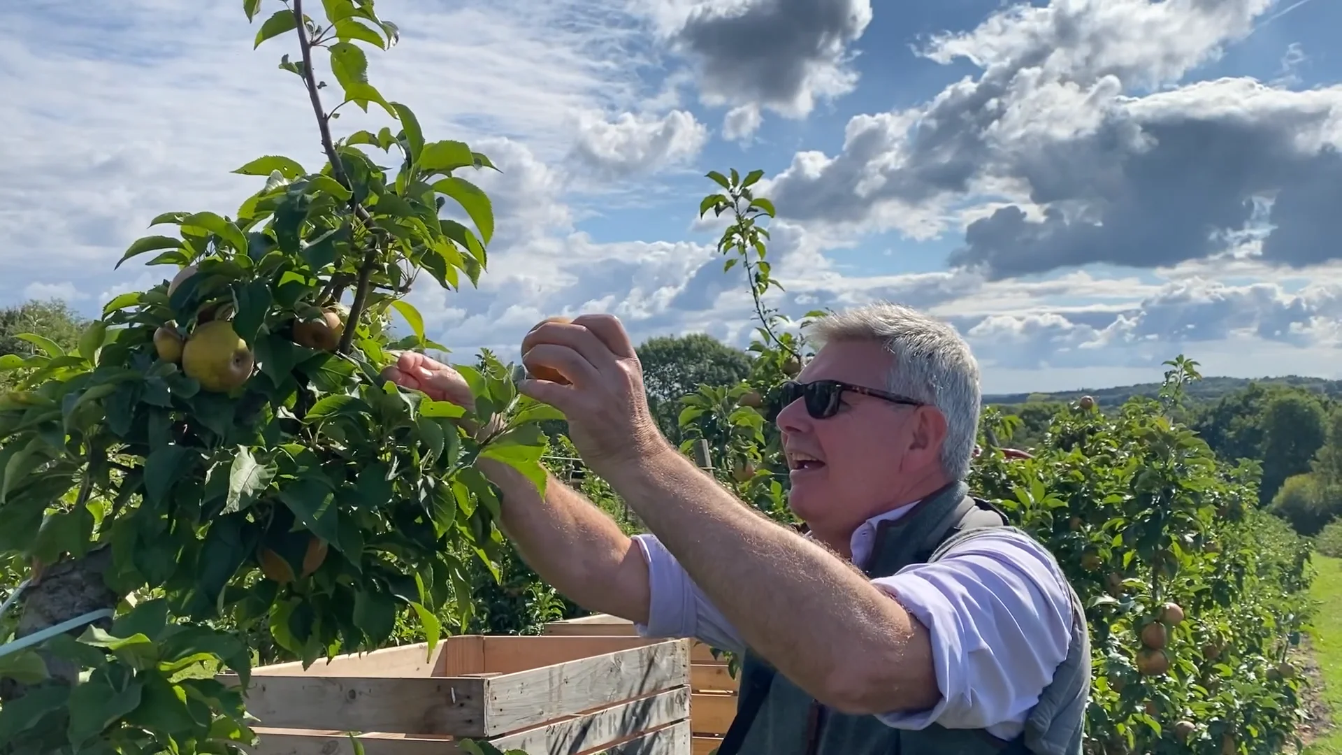 Apple Picking 2022 on Vimeo