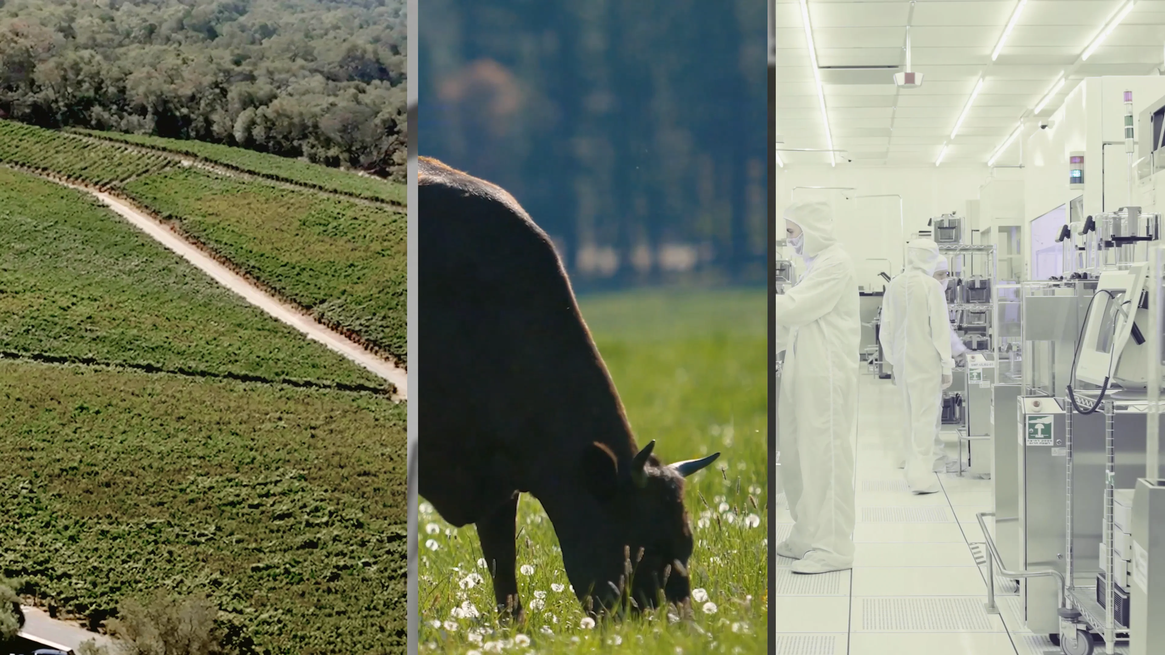 Christian Palmaz Series: The Bell 429 Makes a Difference for Business ...