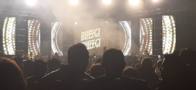 Concert Crowd Videos: Download 16+ Free 4K & HD Stock Footage Clips ...