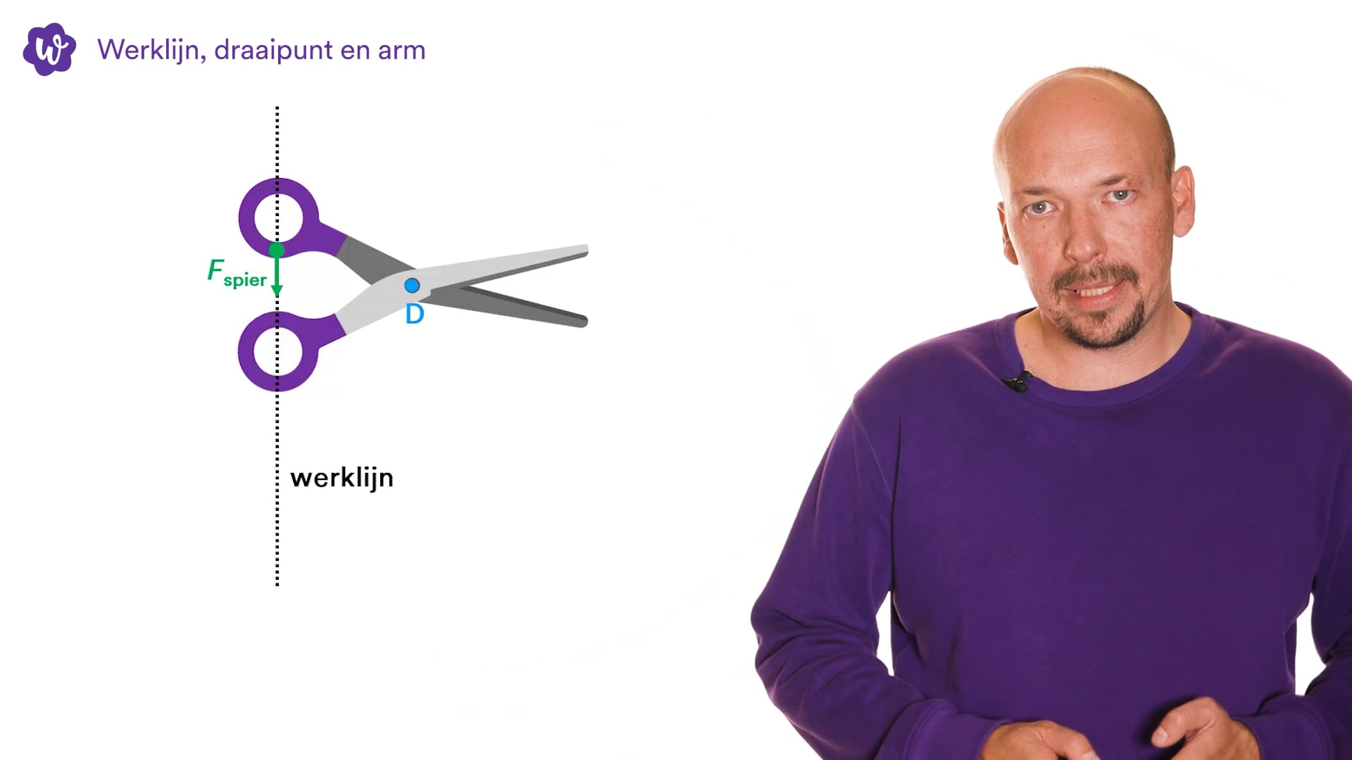 De hefboomwet | StudyGo