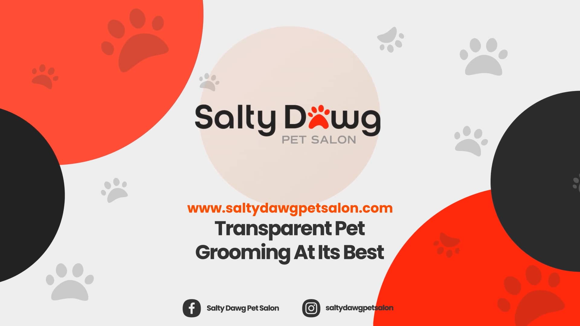 Salty Dawg Pet Salon on Vimeo