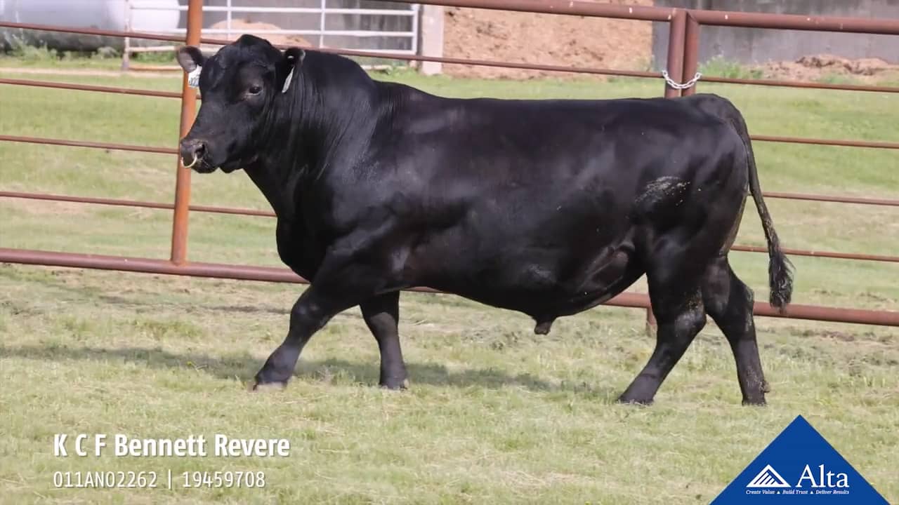 011AN02262 - K C F Bennett Revere on Vimeo