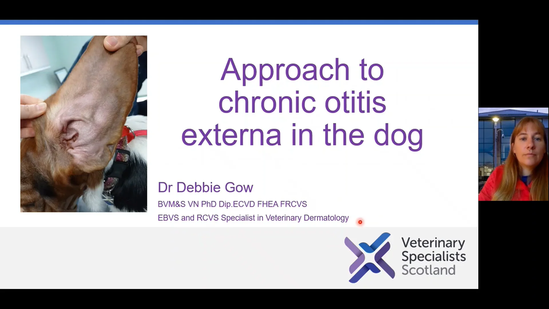 Veterinary Dermatology: Approach to Chronic Otitis Externa in the Dog. Speaker - Debbie Gow BVM ...