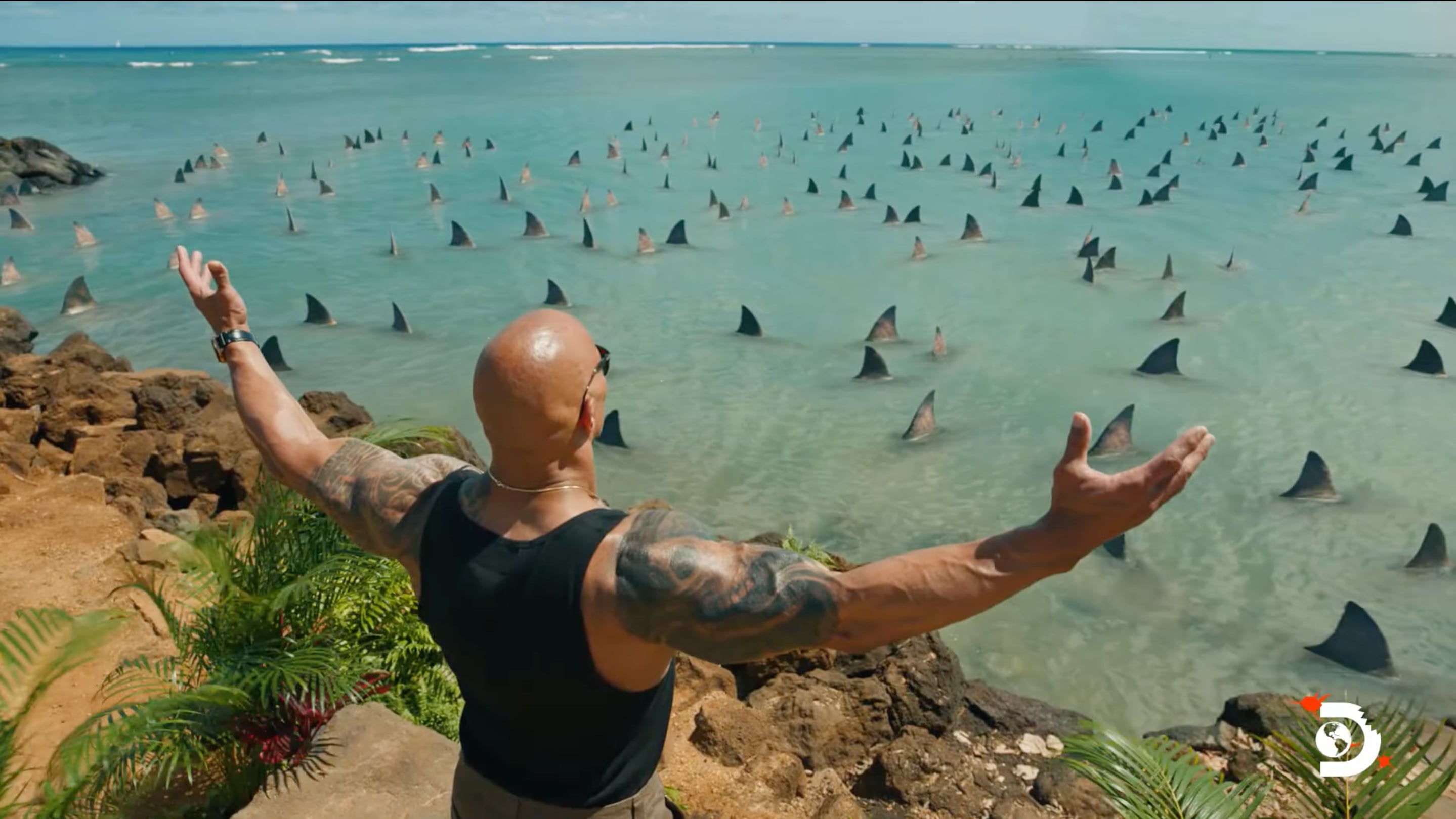 Shark Week with Dwayne Johnson