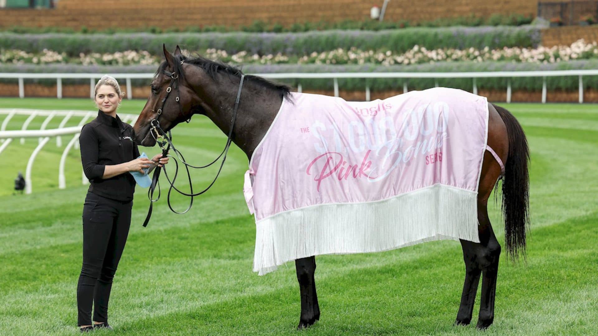 2022 Inglis Banner & Pink Bonus - Arkansaw Kid on Vimeo
