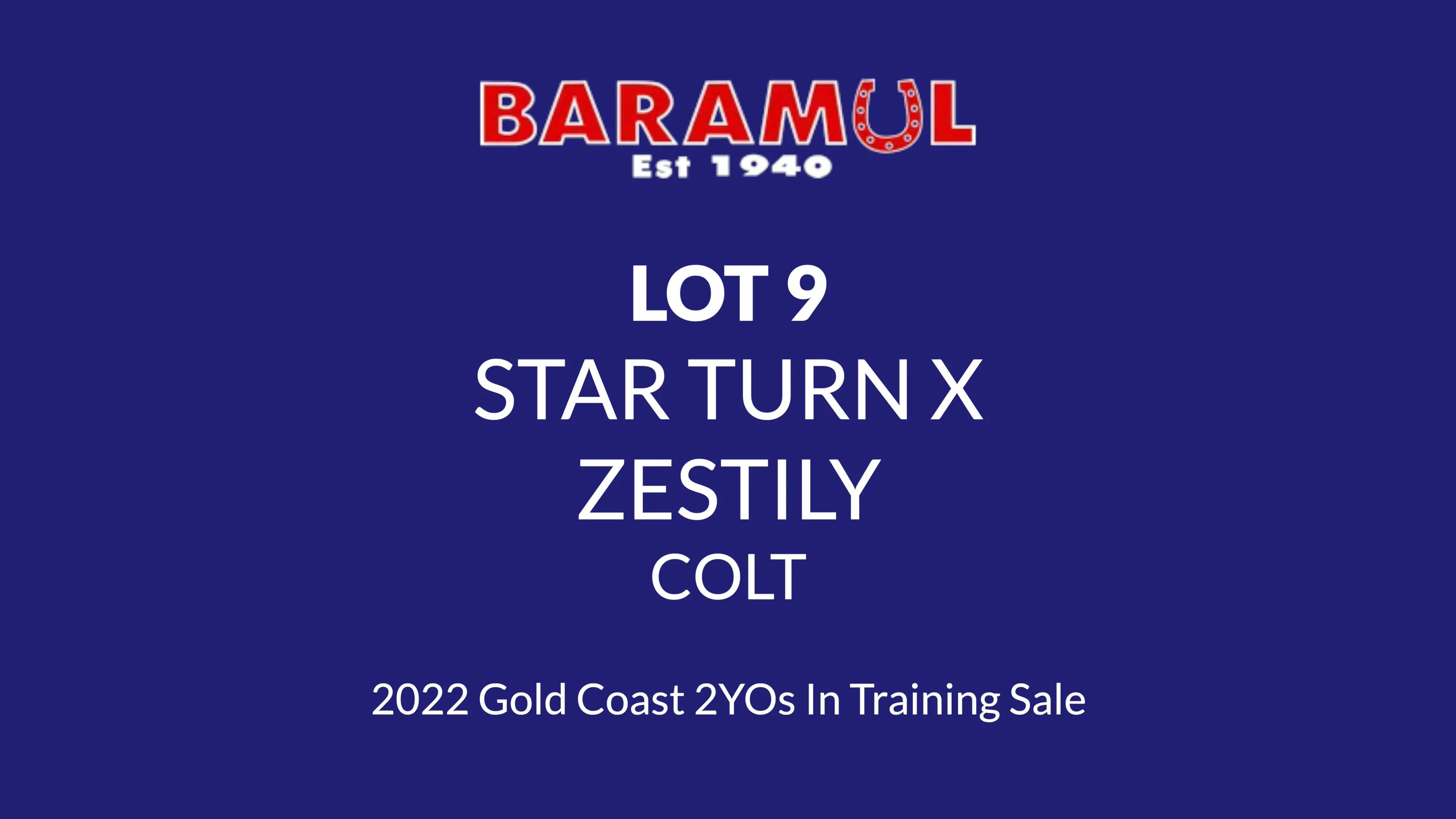 LOT 9 - STAR TURN X ZESTILY - COLT.mp4 on Vimeo