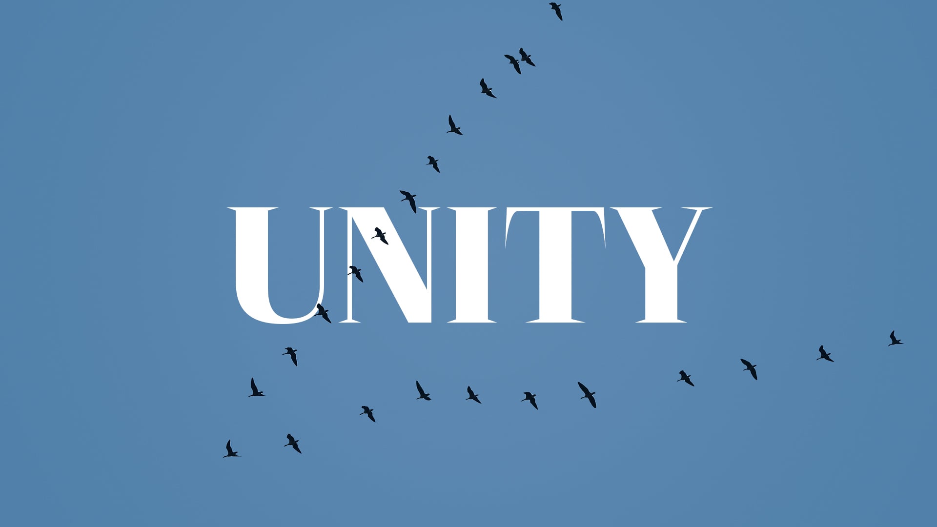 Unity - Part 4 (Unity Will Be Hard Work) on Vimeo