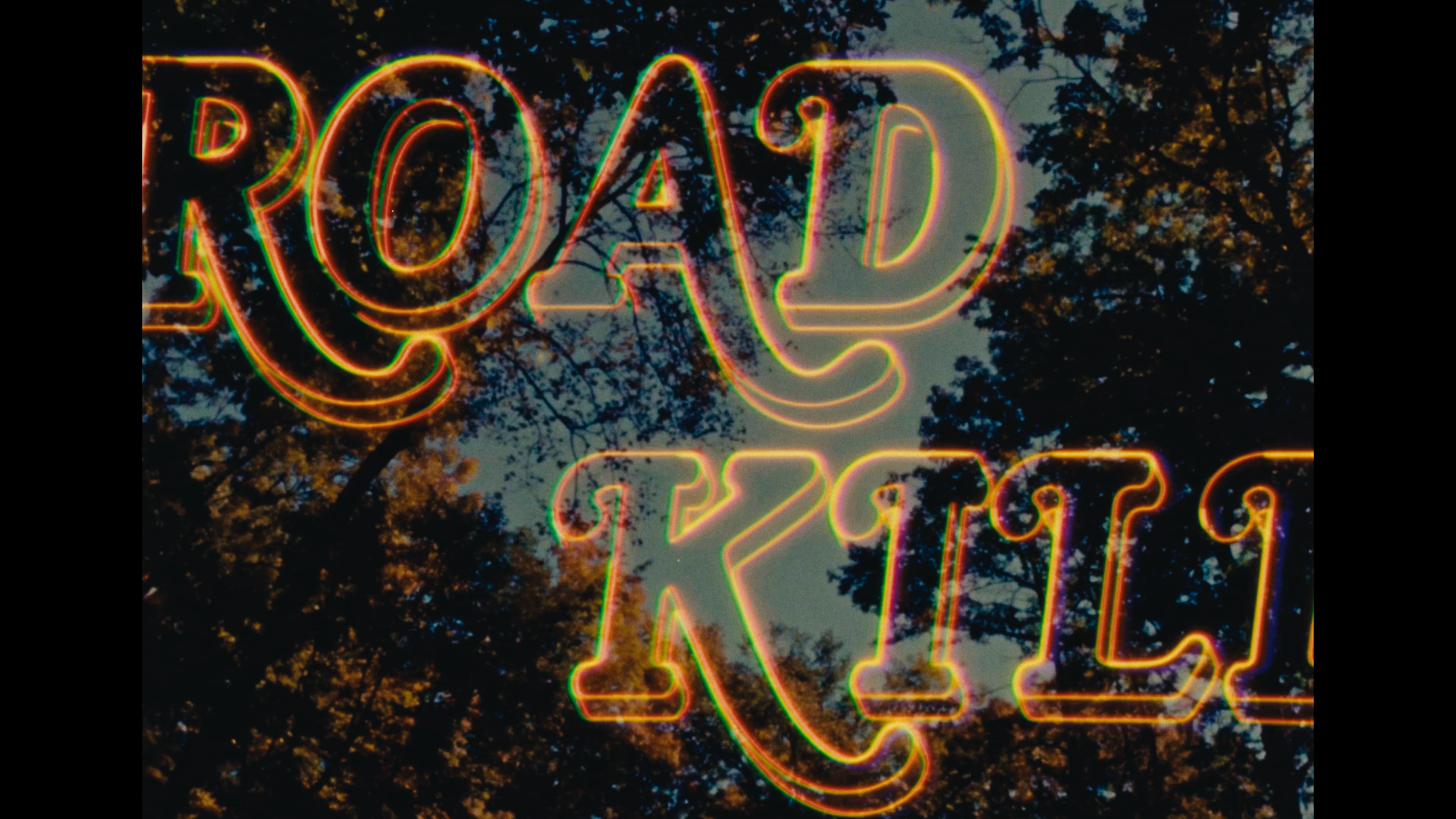 ROADKILL - a short film (3 min) on Vimeo
