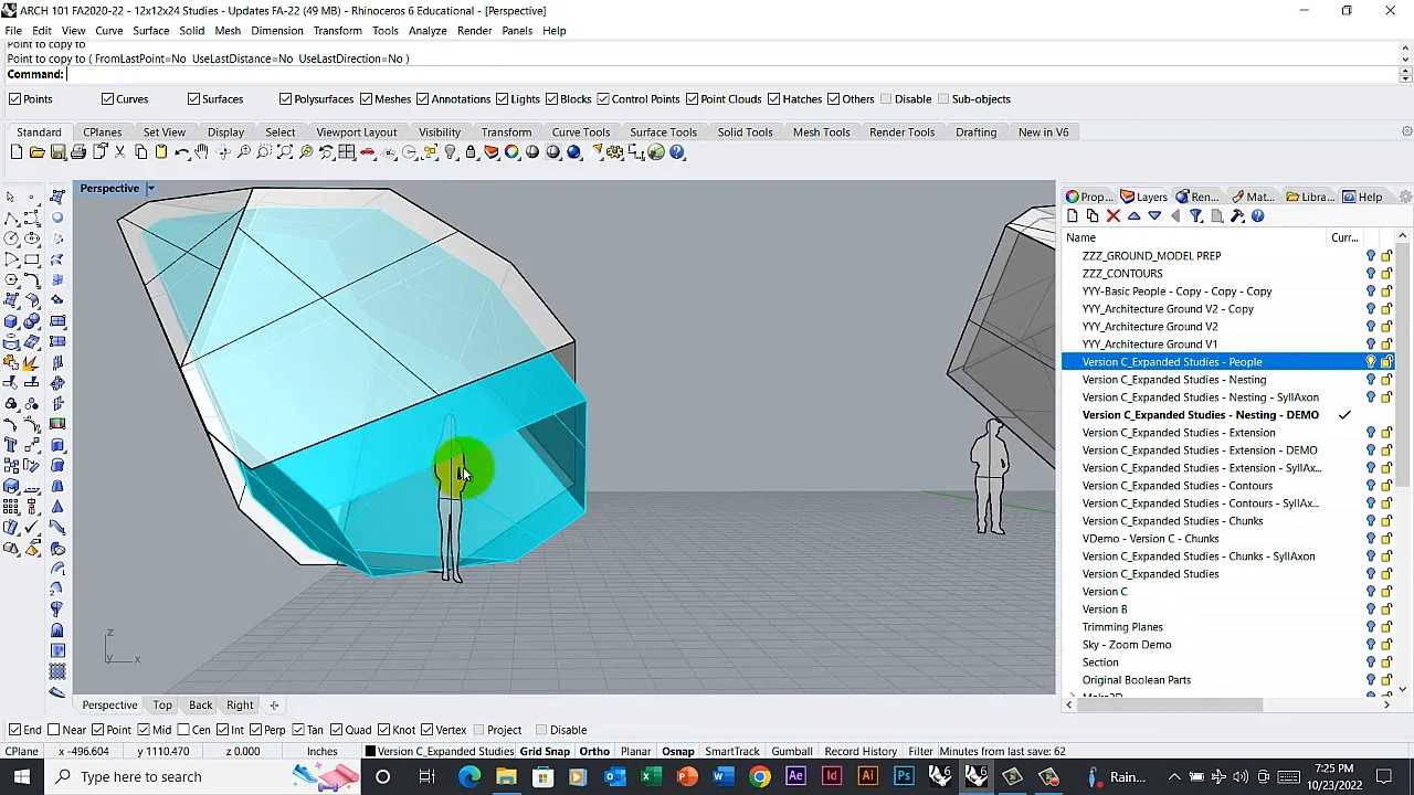 ARCH_100s_Rhino - NESTING B