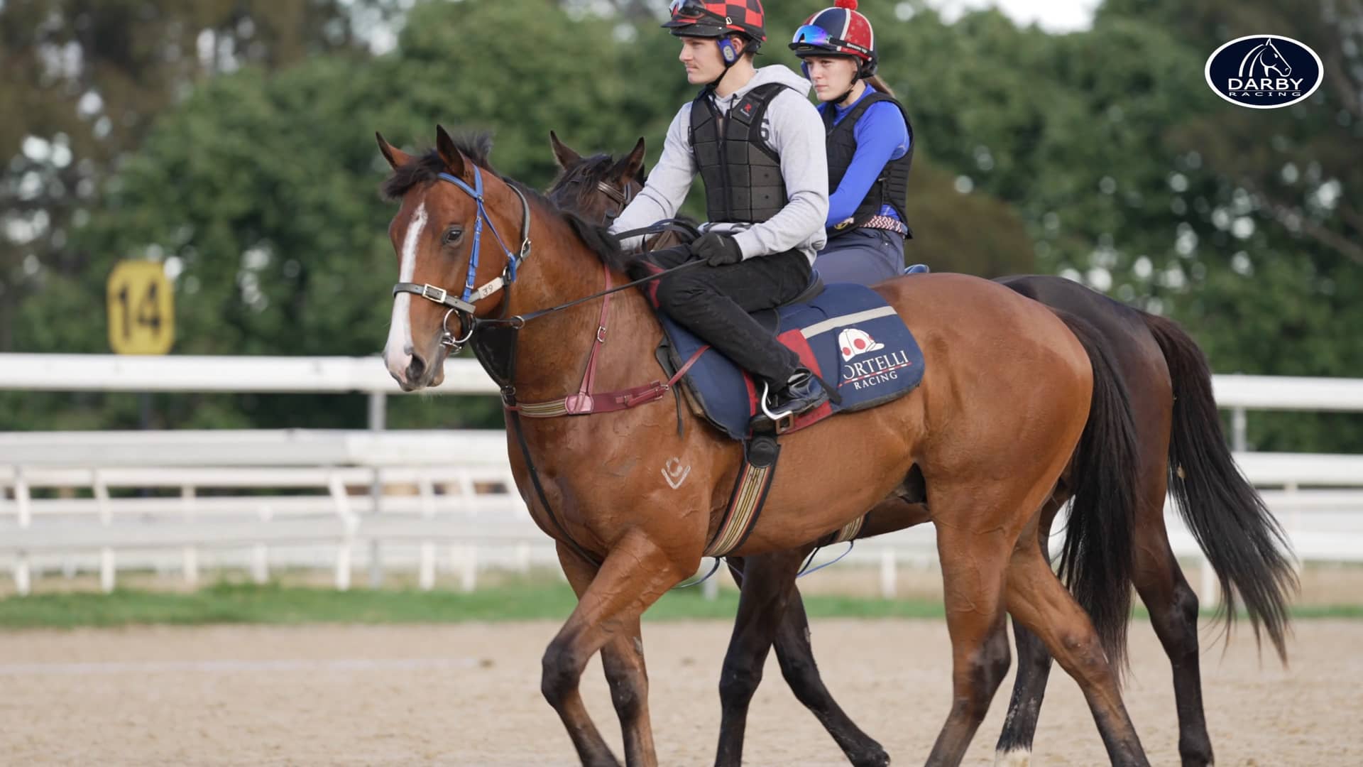 Stratosphere x Dashing Lady colt 4K.mp4 on Vimeo