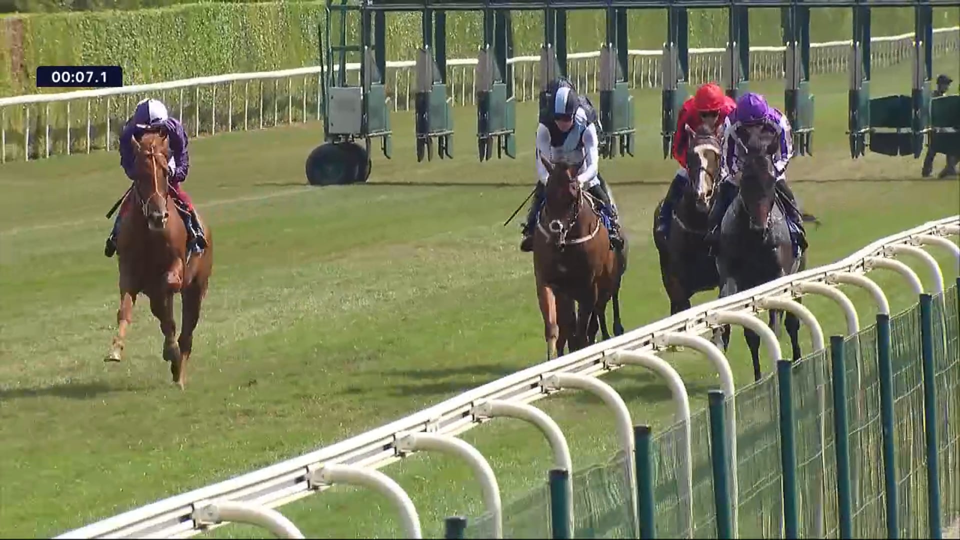 Blackbeard | Stallions - Coolmore Ireland