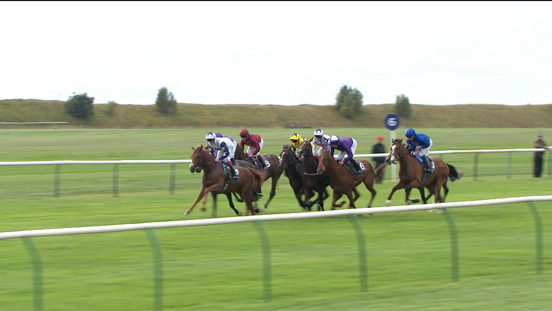 Blackbeard | Stallions - Coolmore Ireland