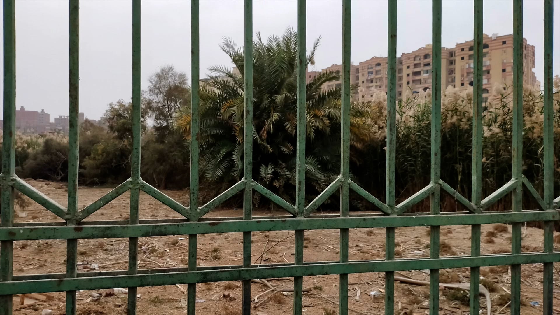 Cairo Green Spaces