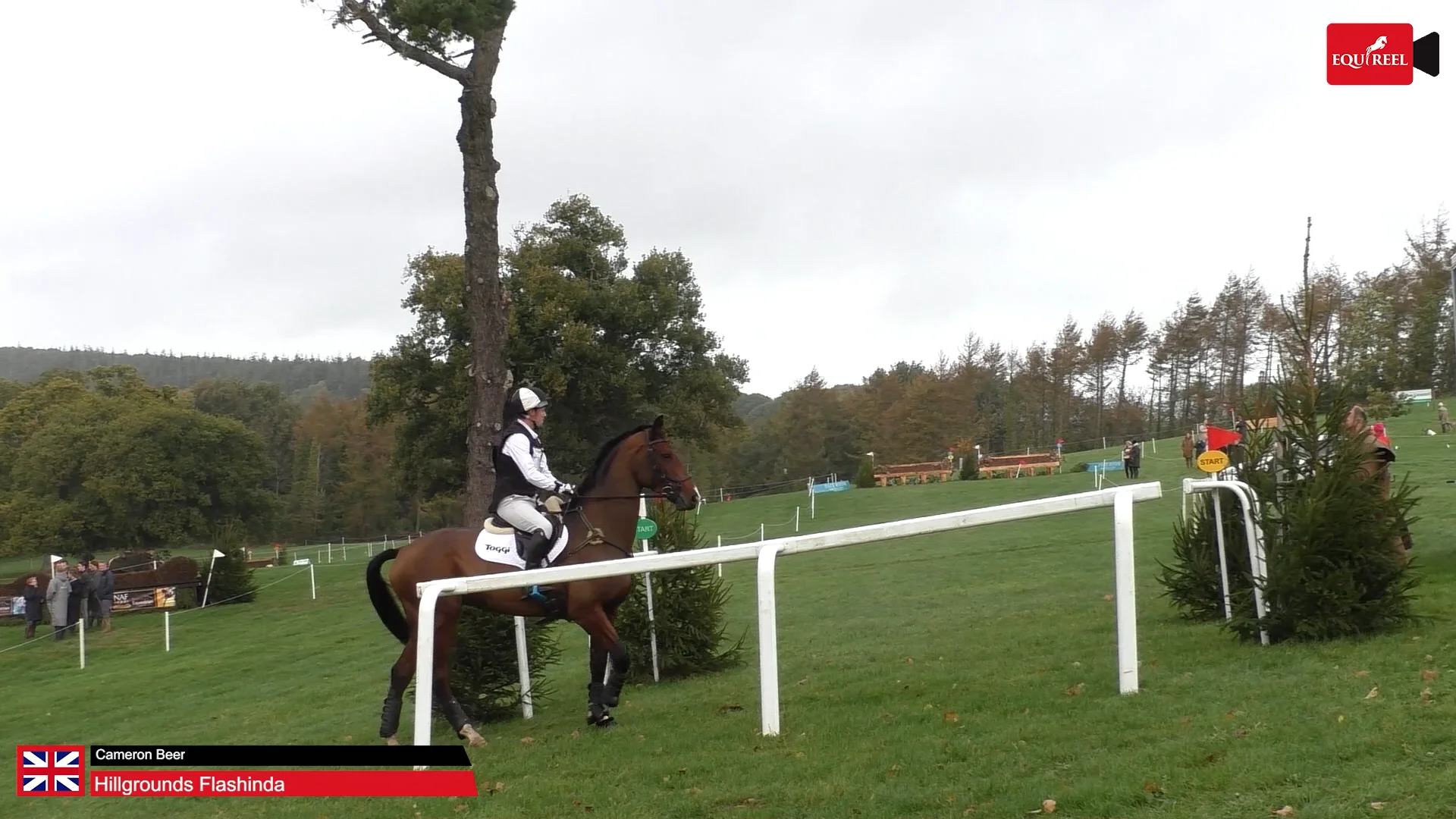 EQUIREEL 5 Cameron Beer & Hillgrounds Flashinda at BICTON ARENA ...