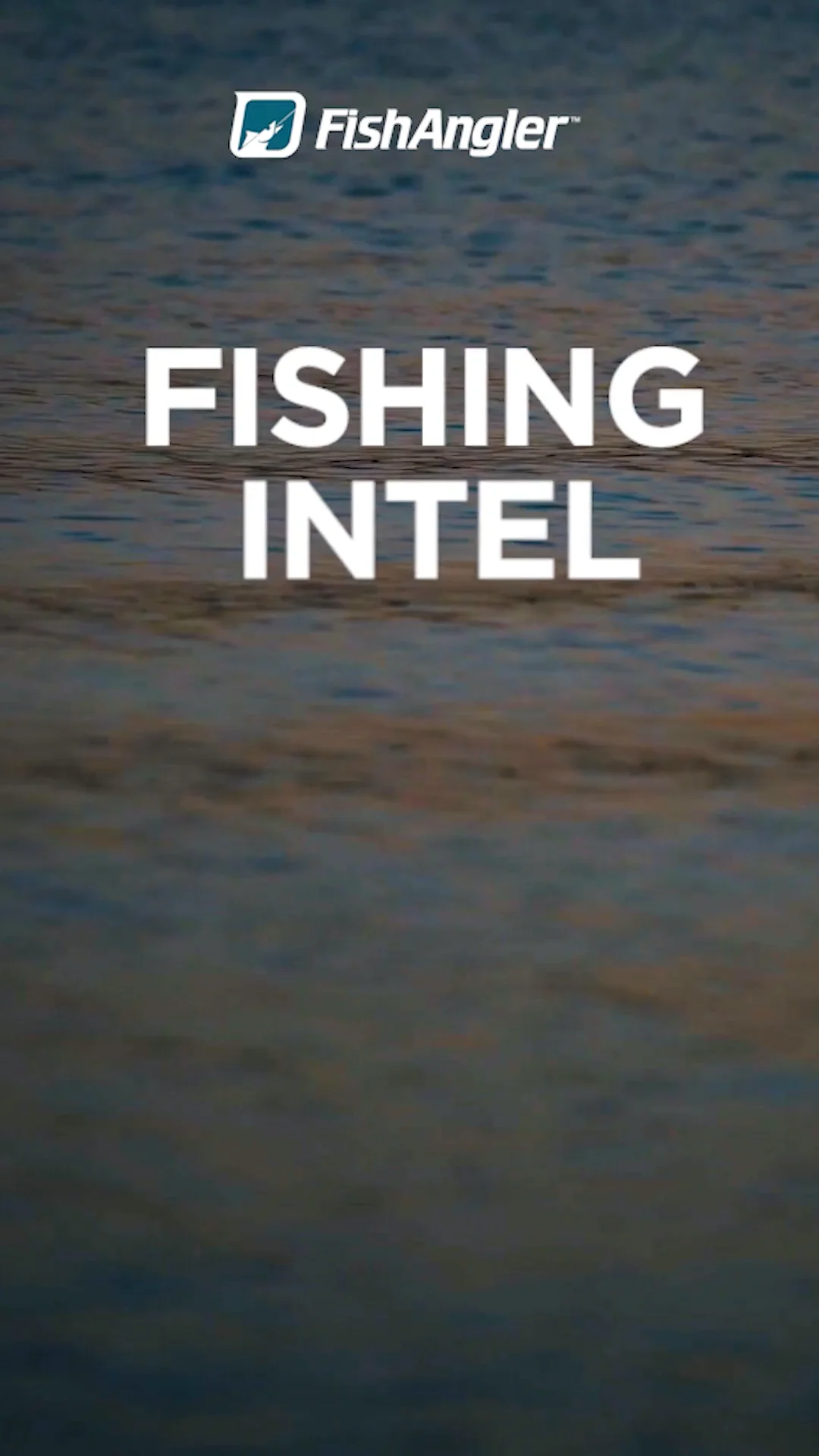 New Feature Release - Fishing Intel on Vimeo