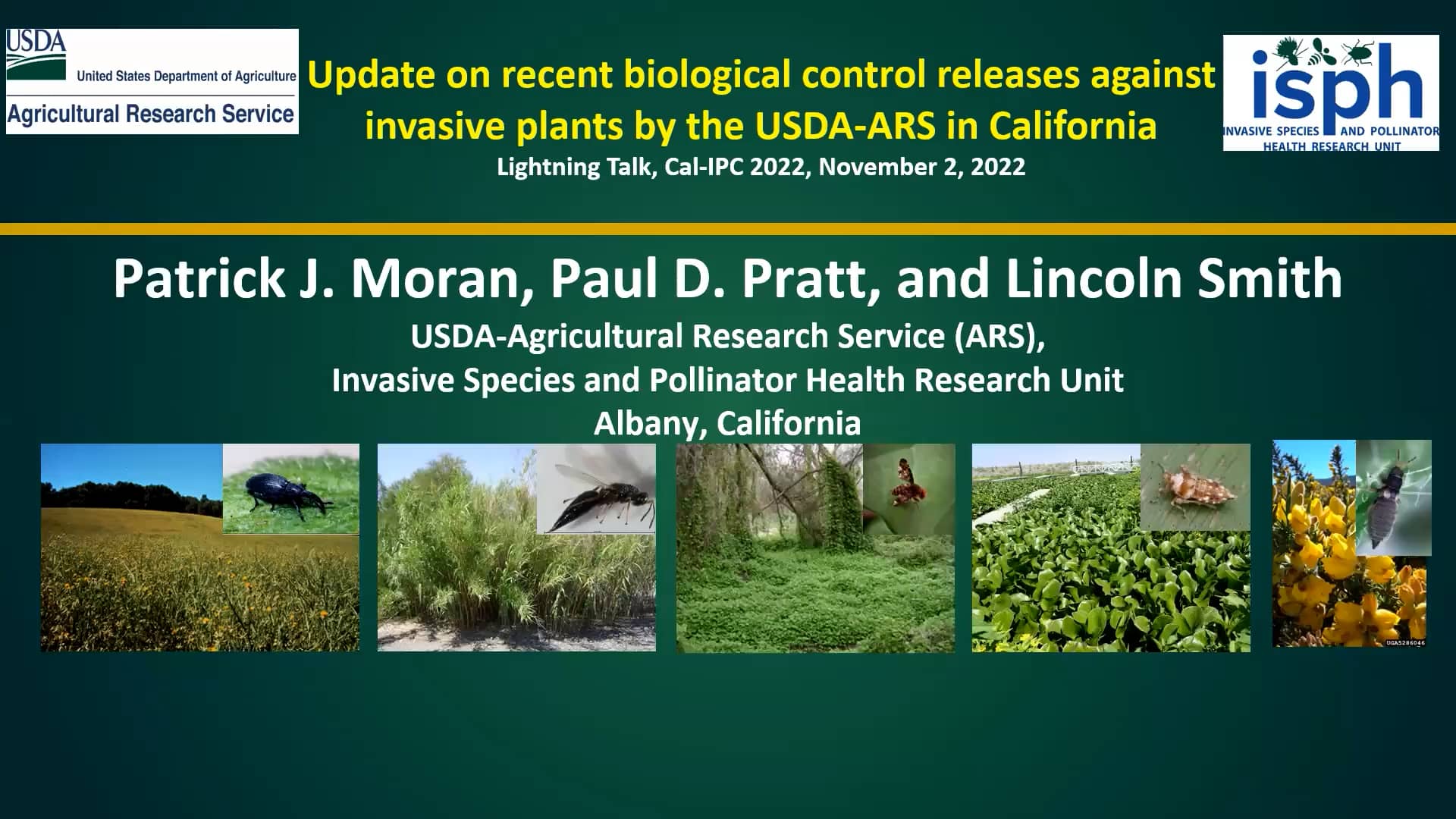2022 Cal-IPC Lightning Talk - Update on recent biological control ...