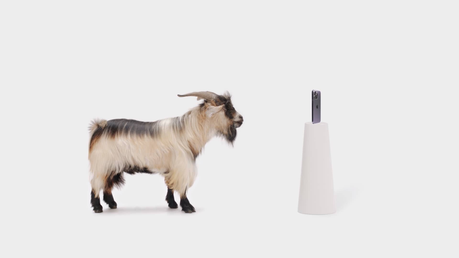 TELUS x Apple | GOAT on Vimeo