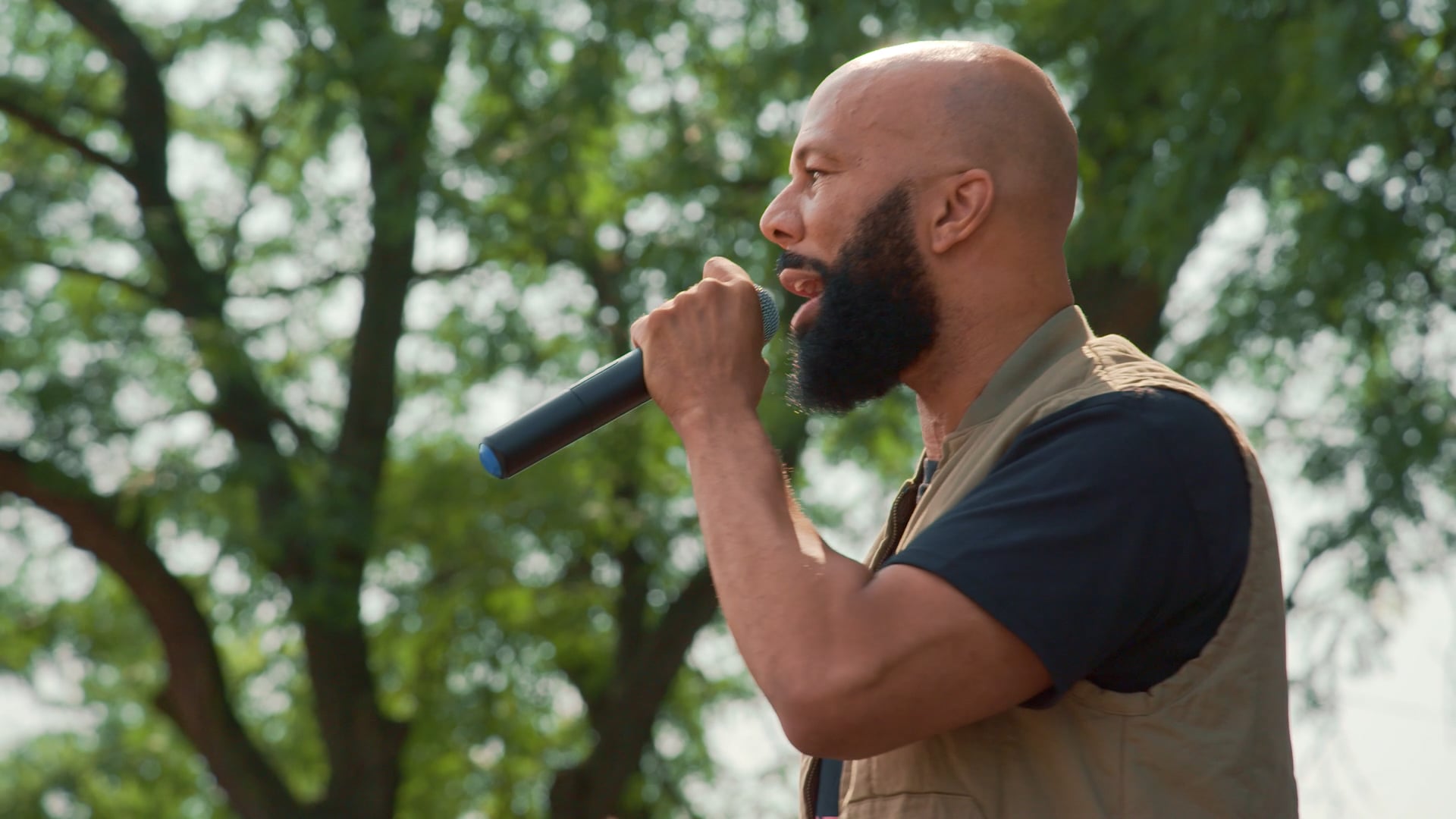 Megan St. John Portfolio