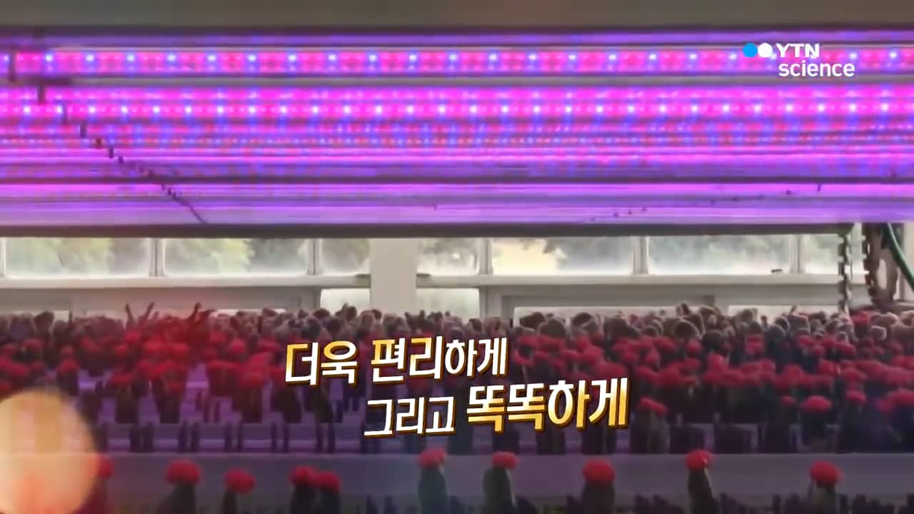 미래형 농업 스마트 팜-YTN 사이언스.mp4 on Vimeo