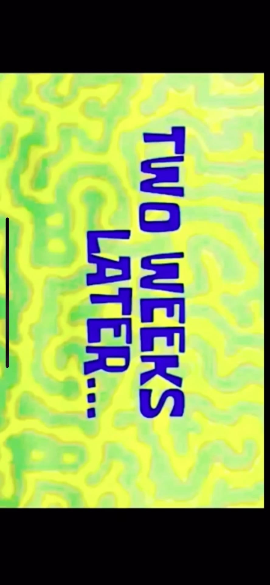 spongebob.mov on Vimeo