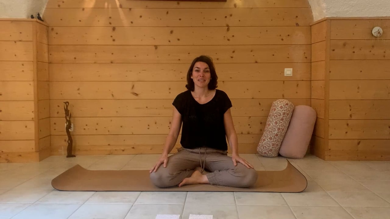 Module 1. Introduction | Studio Diva Yoga (+ de 2500 vidéos)
