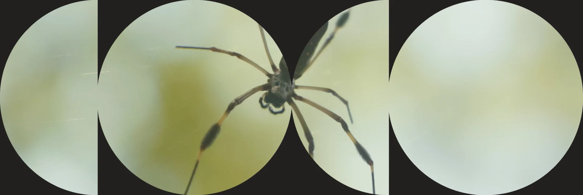 VIDEO REEL COCO VISUALS 2022 v3 final.mp4