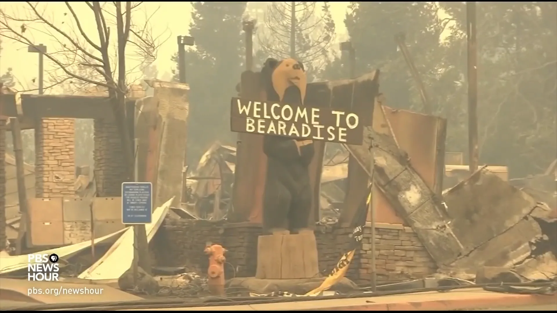 Lily Jamali - Lily Jamali - PBS NewsHour on Vimeo