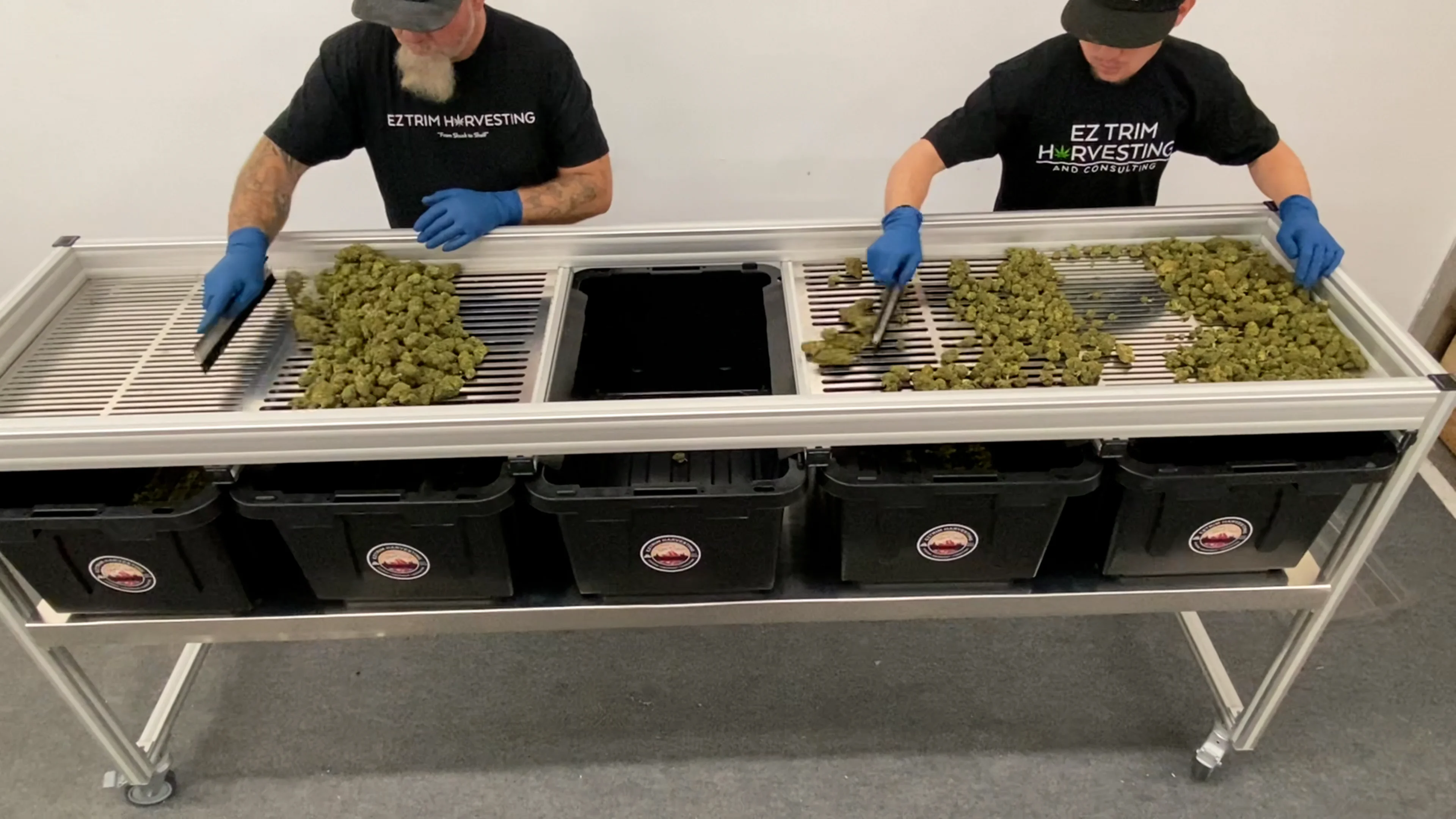 Bud Sorters | Cannabis Sorting Machines | EZ Trim Bud Sorters | Cannabis Sorting Machines | EZ Trim
