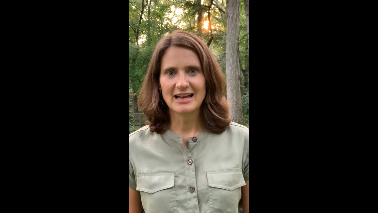 Barbara Young, Clinical Social Work/Therapist, Chestertown, MD, 21620 ...