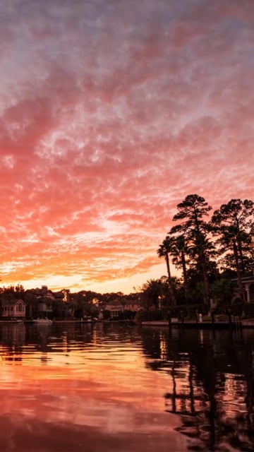 일몰 숲 - Free video on Pixabay - Pixabay