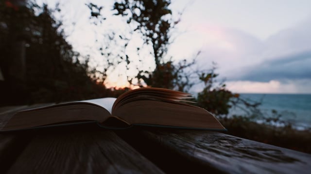 300+ Free Books & Book Videos, HD & 4K Clips - Pixabay