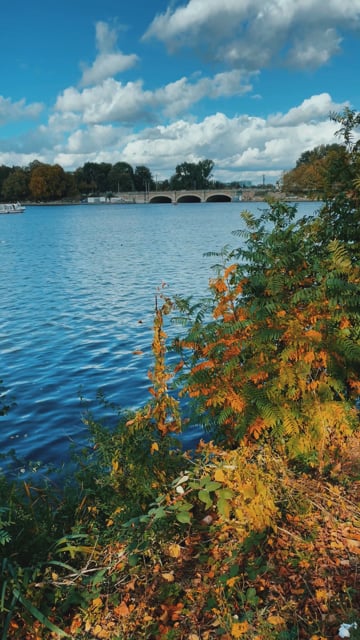 Mar Verde Agua - Free video on Pixabay - Pixabay