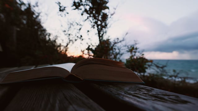 Book, Reading, Sea. Free Stock Video - Pixabay