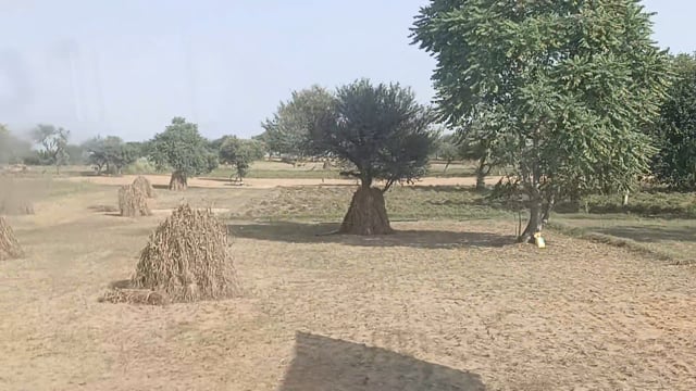 India, Rajasthan, Jaipur. Free Stock Video - Pixabay