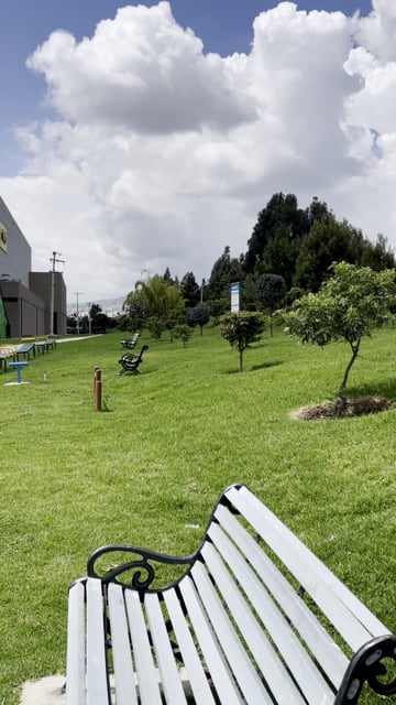 Bench Park Grass Free Stock Video - Pixabay