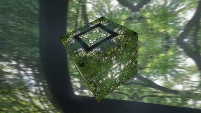 Forest Cube Spinning - Free video on Pixabay