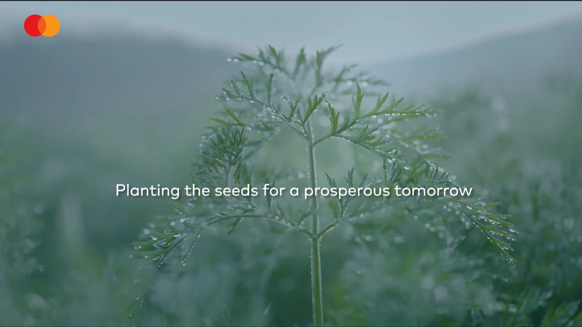 Mastercard Farm Pass