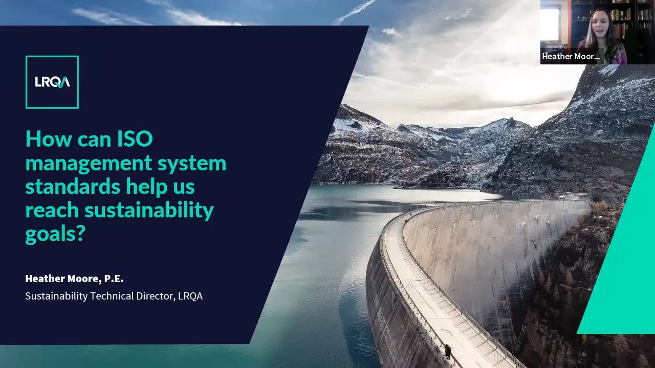 How can ISO management system standards help us reach sustainability ...