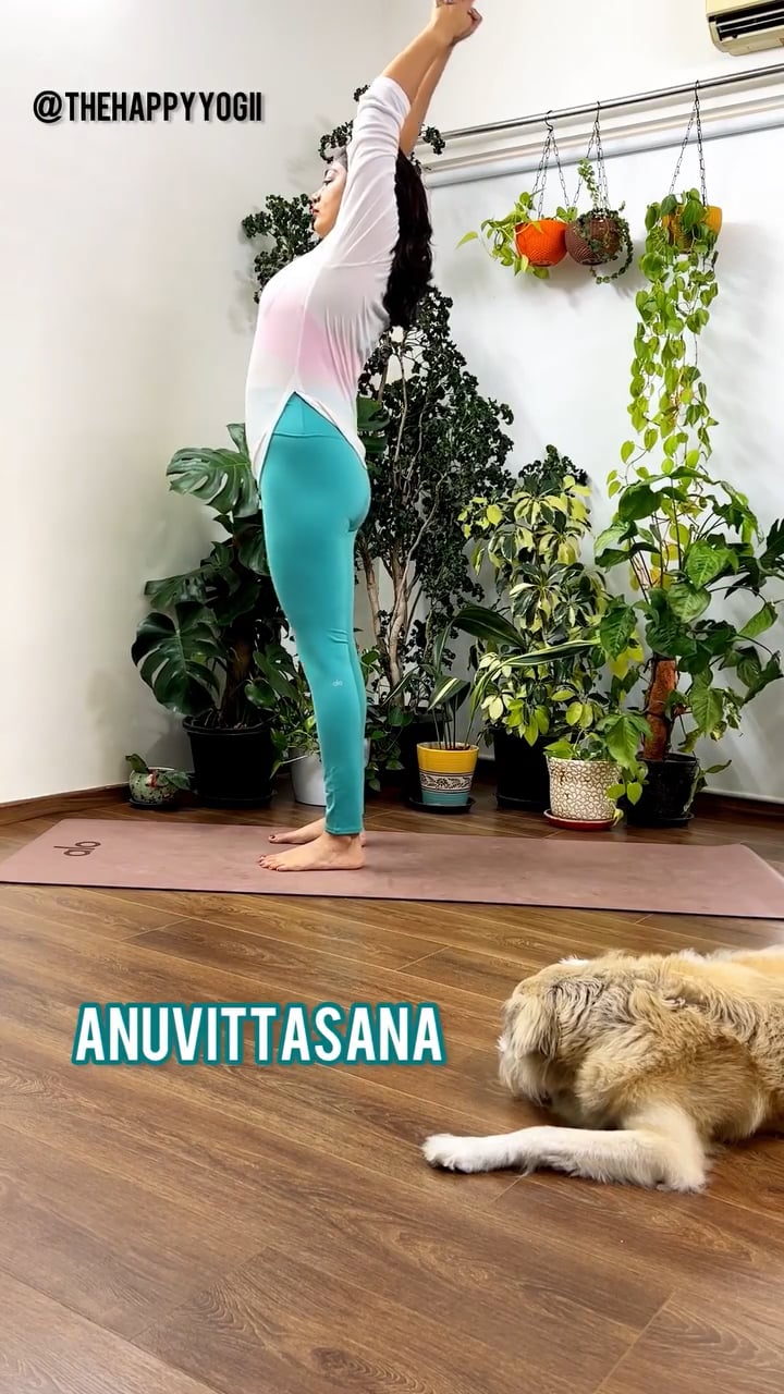 Yoga on Vimeo