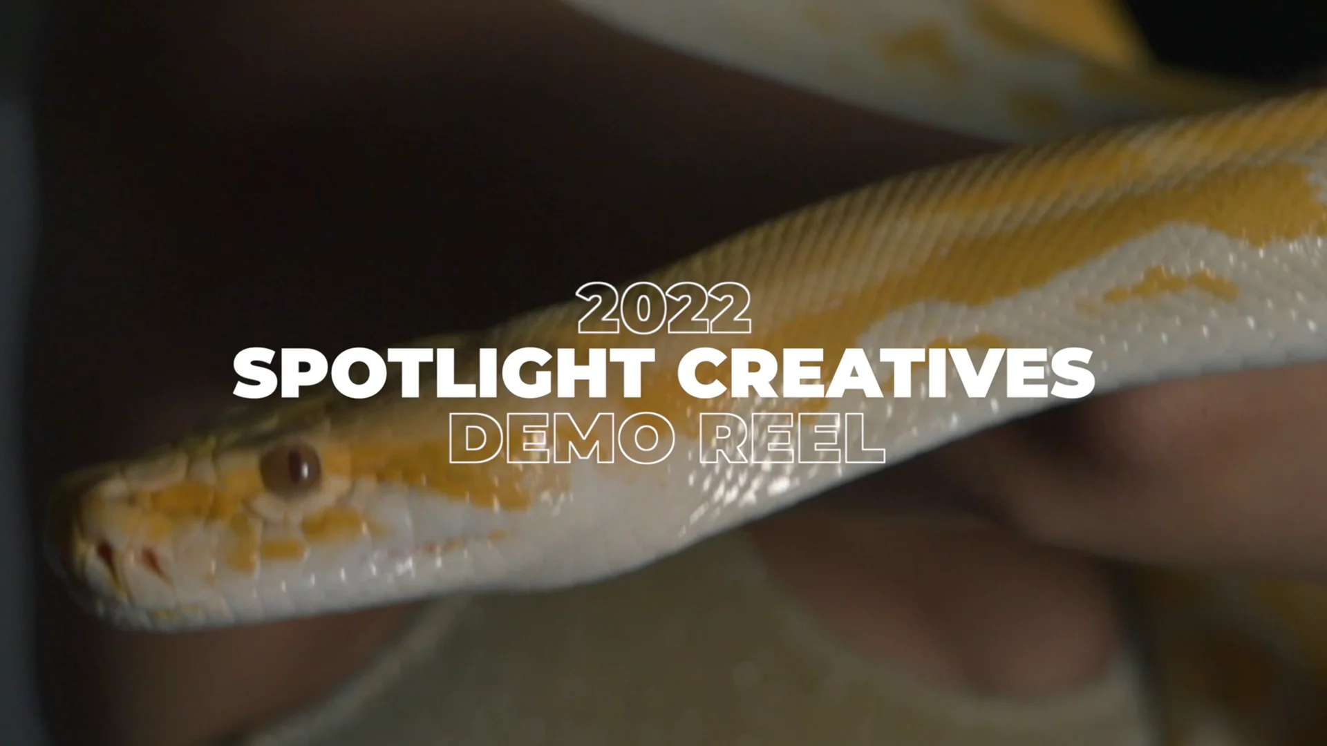 Spotlight Creatives Demo Reel 2022