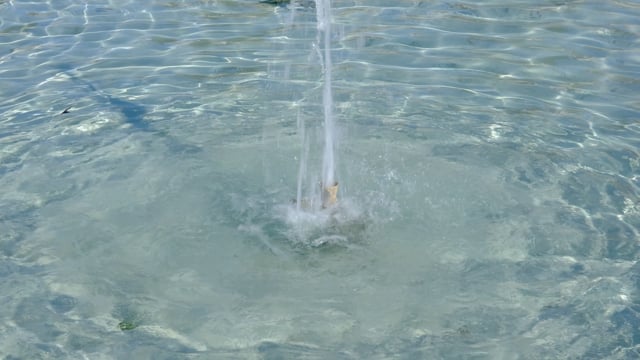 100+ Free Pool & Water Videos, HD & 4K Clips - Pixabay