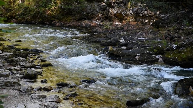 River Stream Water - Free video on Pixabay