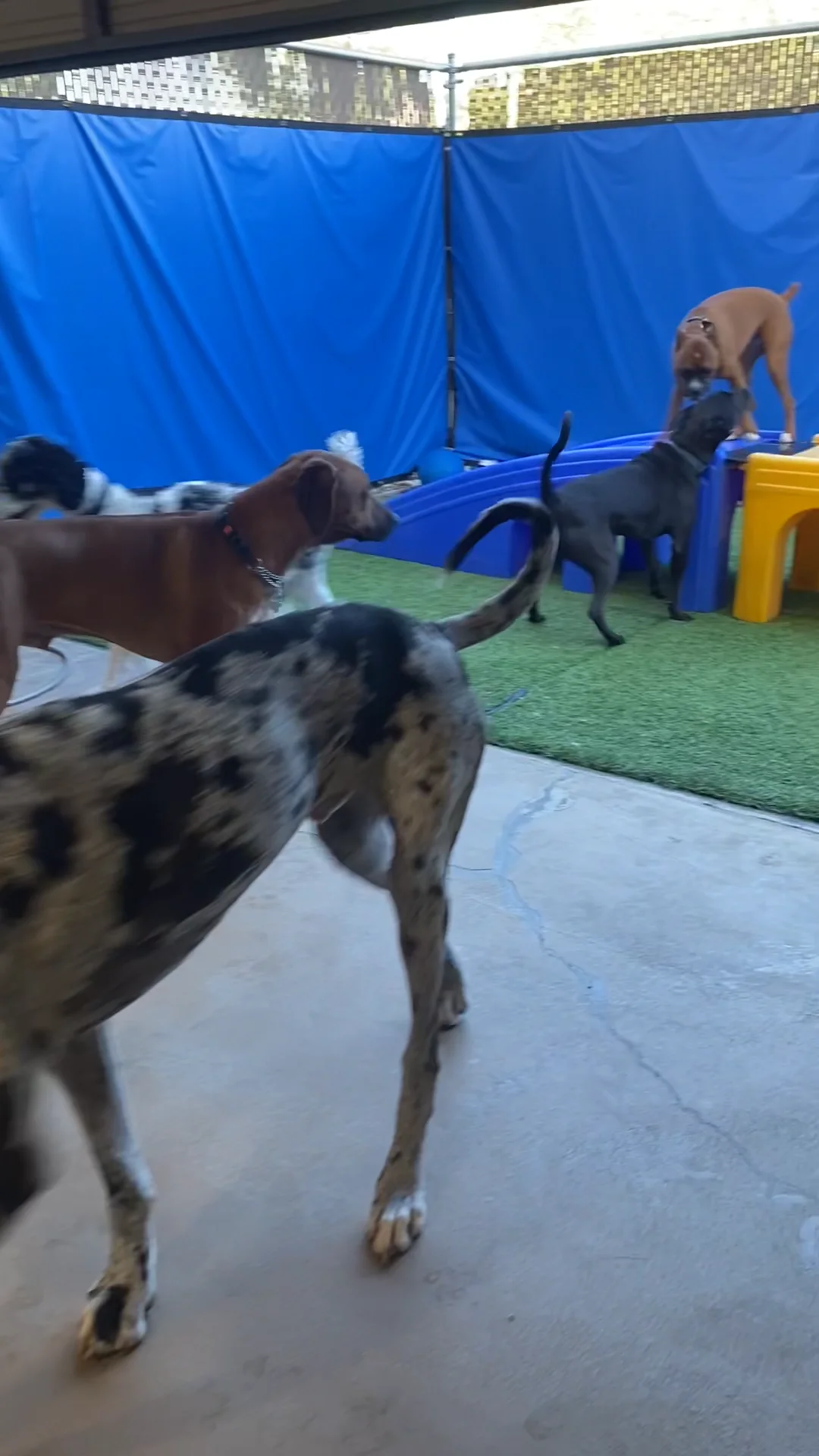 Bigs living life on Vimeo