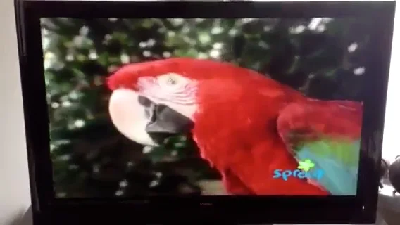 Sesame Street Episode 3994 (FULL)