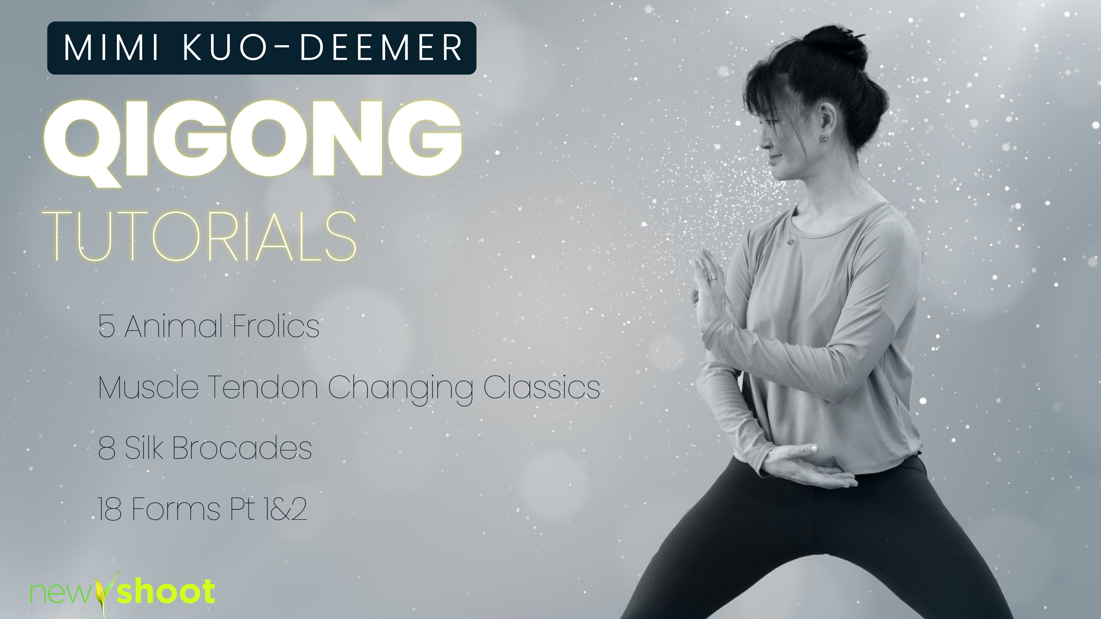 Watch Qigong Tutorials Credits Online | Vimeo On Demand on Vimeo